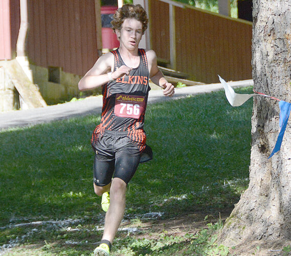 Bodkins, Tiger harriers having strong seasons | News, Sports, Jobs ...